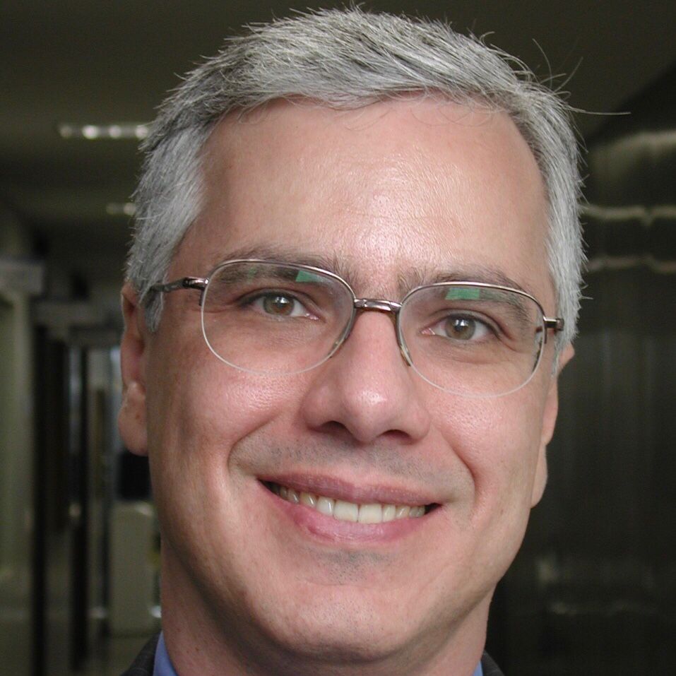Alexandre Rocha, Autor em Economia Mainstream